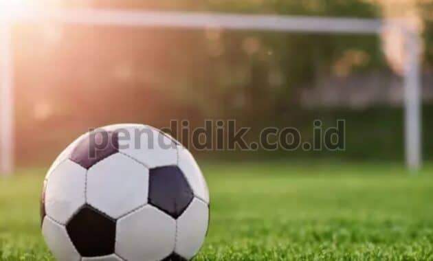 Permainan Bola Besar, Pengertian, Jenis & Contohnya
