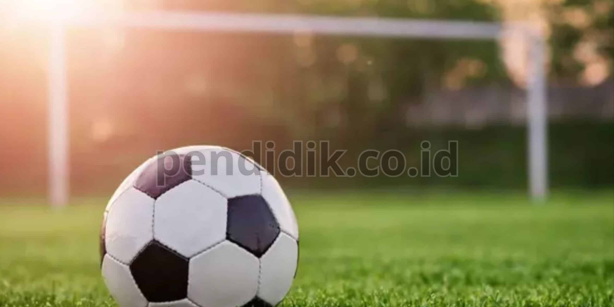 Permainan Bola Besar, Pengertian, Jenis & Contohnya